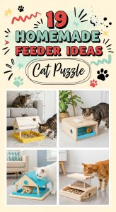 19 Homemade Cat Puzzle Feeder Ideas